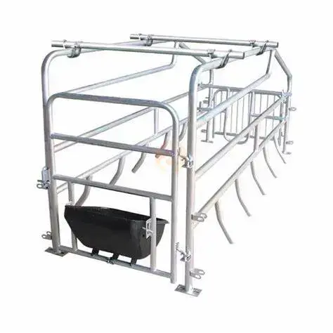 Sow Gestation Stall Pig Farrowing Stalls Pigs Fatten Crate