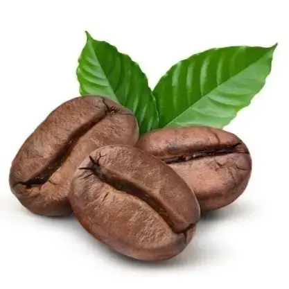 Classic coffee | Mountain View Coffee Plantation