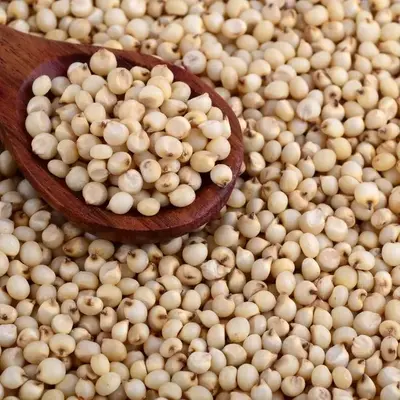 Buy Thumbs Up Jowar F 50kg online at best price | Sujatha Traders