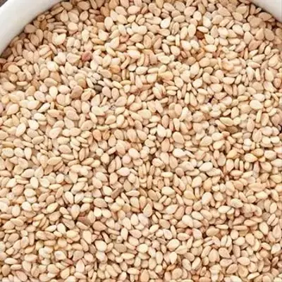 Buy Nylon Thill 1kg online at best price | Sujatha Traders