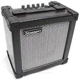 Buy Stranger C15 Amplifier For Guitar & Banjo online at best price ...