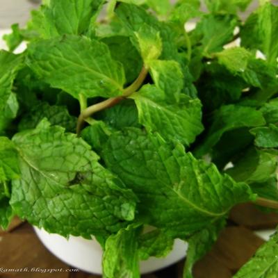 MAULI AGRO - Order Online