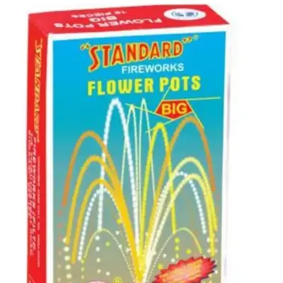 Buy Flower Pots Big online at best price | Standard Fireworks