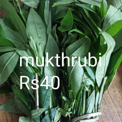 Seven sisters shop , Bengaluru - Order Online