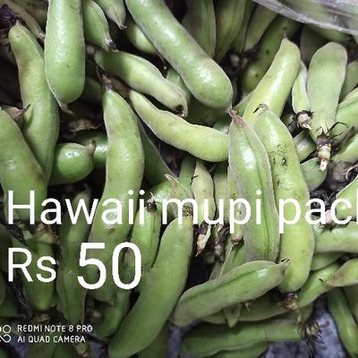 Seven sisters shop , Bengaluru - Order Online