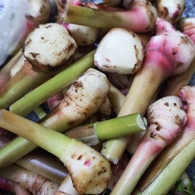 Seven sisters shop , Bengaluru - Order Online