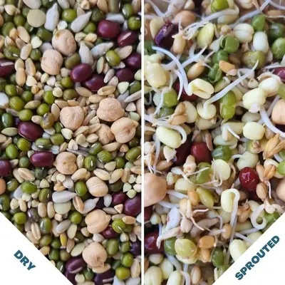 Buy Sprout Mix online at best price | PAVITHRAM PETS & VETS
