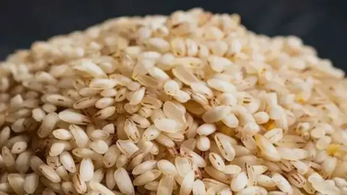 Buy Suraye Tandul online at best price | Rane's Mejwani