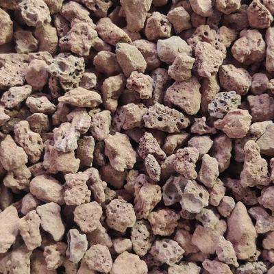 Dee Shrimps India - Order Online