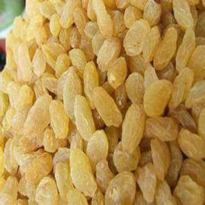 BABU TRADING CO - Order Online