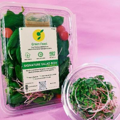 Green Feast - Order Online