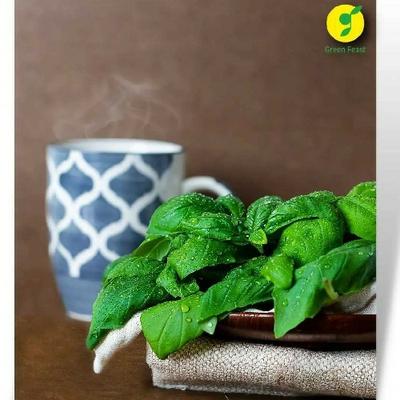 Green Feast - Order Online