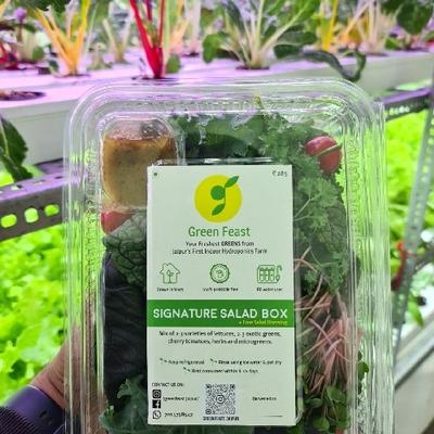 Green Feast - Order Online