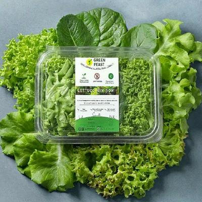 Green Feast - Order Online