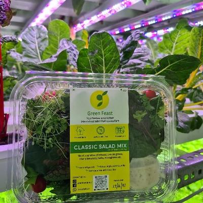 Green Feast - Order Online