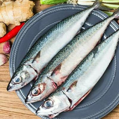 Fez Foods - Order Online