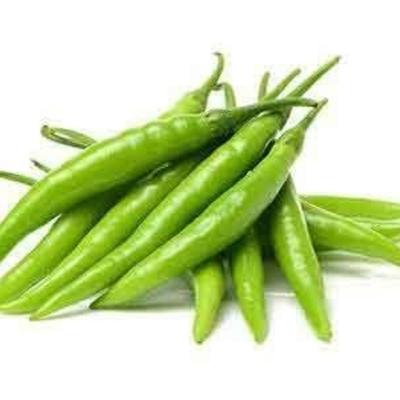 VIJAY VEGIS - Order Online