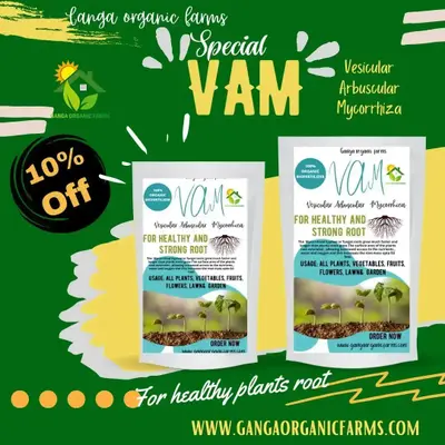 Buy VAM(Vesicular Arbuscular Mycorrhizae) online at best price | GANGA ...