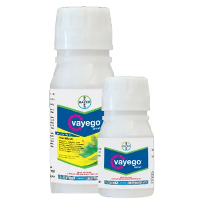 Bayer Vayego Insecticide (Tetraniliprole 200 g/L) Buy Now!!