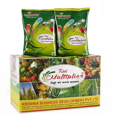 KAD Multiplier Pune, Pune - Order Online