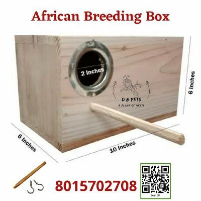 DB Pet's, Chennai - Order Online