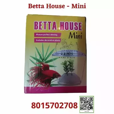 DB Pet's, Chennai - Order Online