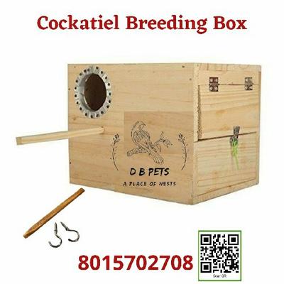 DB Pet's, Chennai - Order Online