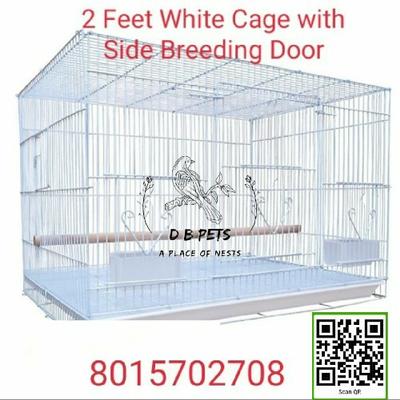 DB Pet's, Chennai - Order Online