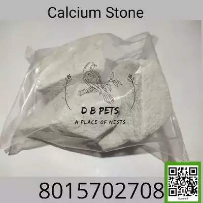 DB Pet's, Chennai - Order Online