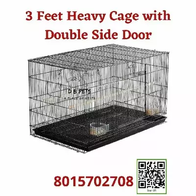 DB Pet's, Chennai - Order Online