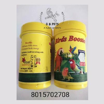 DB Pet's, Chennai - Order Online