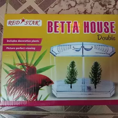 DB Pet's, Chennai - Order Online