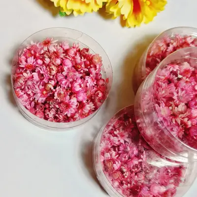 Buy Pink Colour Star Flower Box online at best price | GD Art Store