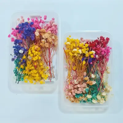 Buy Multi Colour Baby Breath Box Flower online at best price | GD Art Store