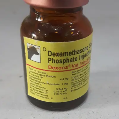 Buy Dexona-Vet Injection 5ml Online | ASRT Agencies