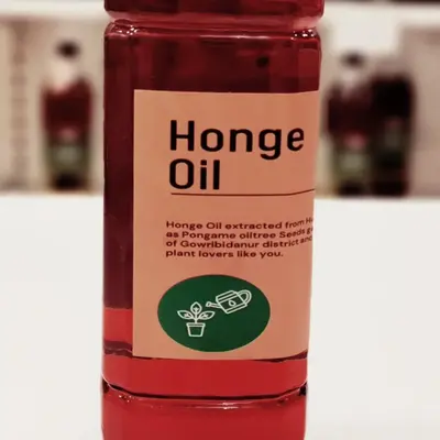 Order Honge Oil (Karanja Oil) Online From Woodified Natura,Bangalore