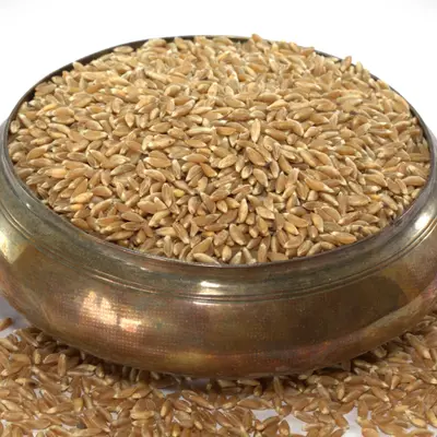 Buy Khapli Gahu 1 kg online at best price | Kalsubai Millets
