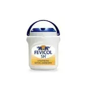 Buy FEVICOL SH [NEW CONTAINERI.250 GM.4 X 10 online at best price | Ms ...