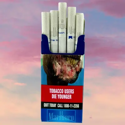 Buy Marlboro Fine Touch Cigarettes Online | SuttaKart