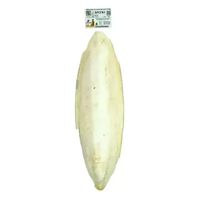 Calcium Cuttlefish Bone – Natural Bird Supplement