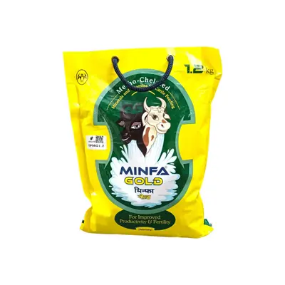 Intas Minfa Gold 1.2Kg – Mineral Mixture