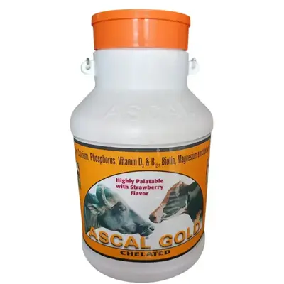Ascal Gold Chelated 5L – Calcium for Livestock