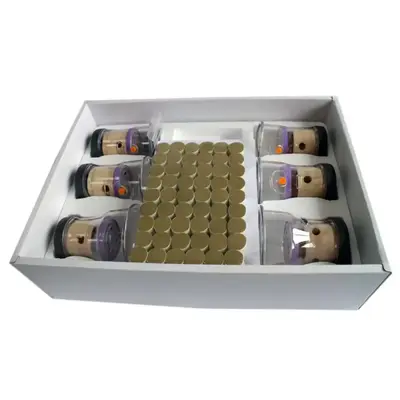 Cupping Moxa 6 In 1 Cupping Set | Kiyo824 | KIYO INDIA | Order Online