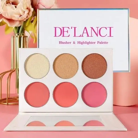 Buy Delanci Blusher Highlighter Palette online at best price PROFESSIONAL MAKEUP HUB