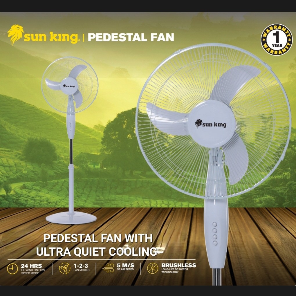 Order Sun King Pedestal BLDC Fan 12V DC ( With Ac Adaptor) 16" BLDC ...