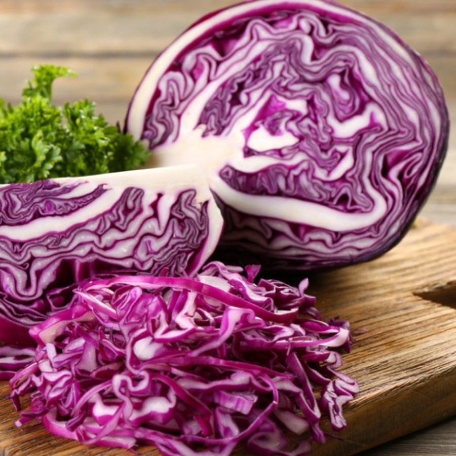 Buy RED CABBAGE online at best price | Daily Nosh