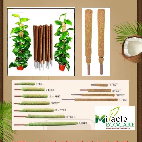 Buy Coco Coir Stick / Pole online at best price | MIRACLE ECOCARE