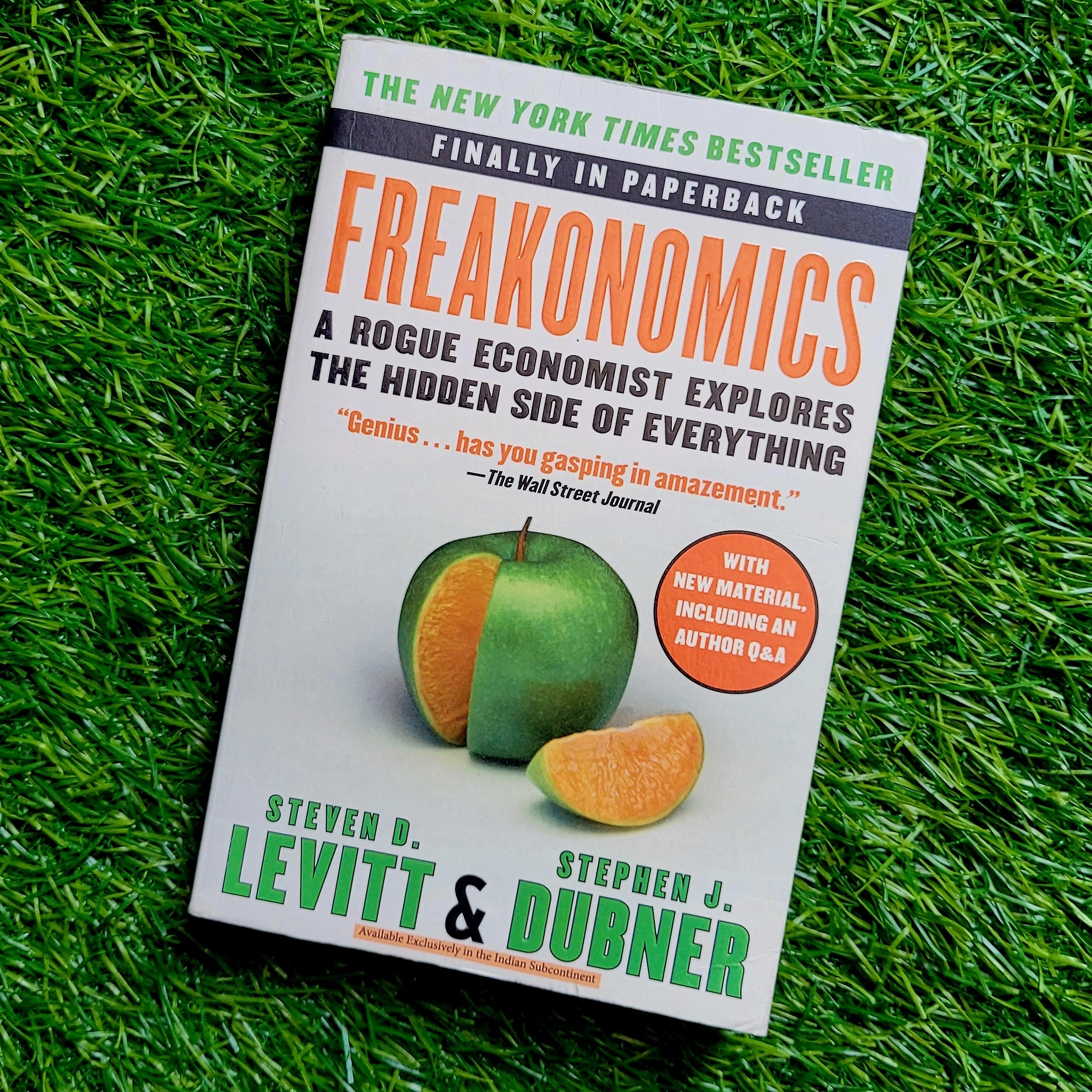 Freakonomics Book
