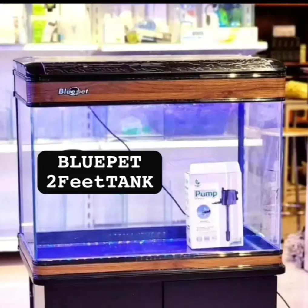 Bluepet 2 Feet Glass Aquarium Tank 84L | Buy Online in India
