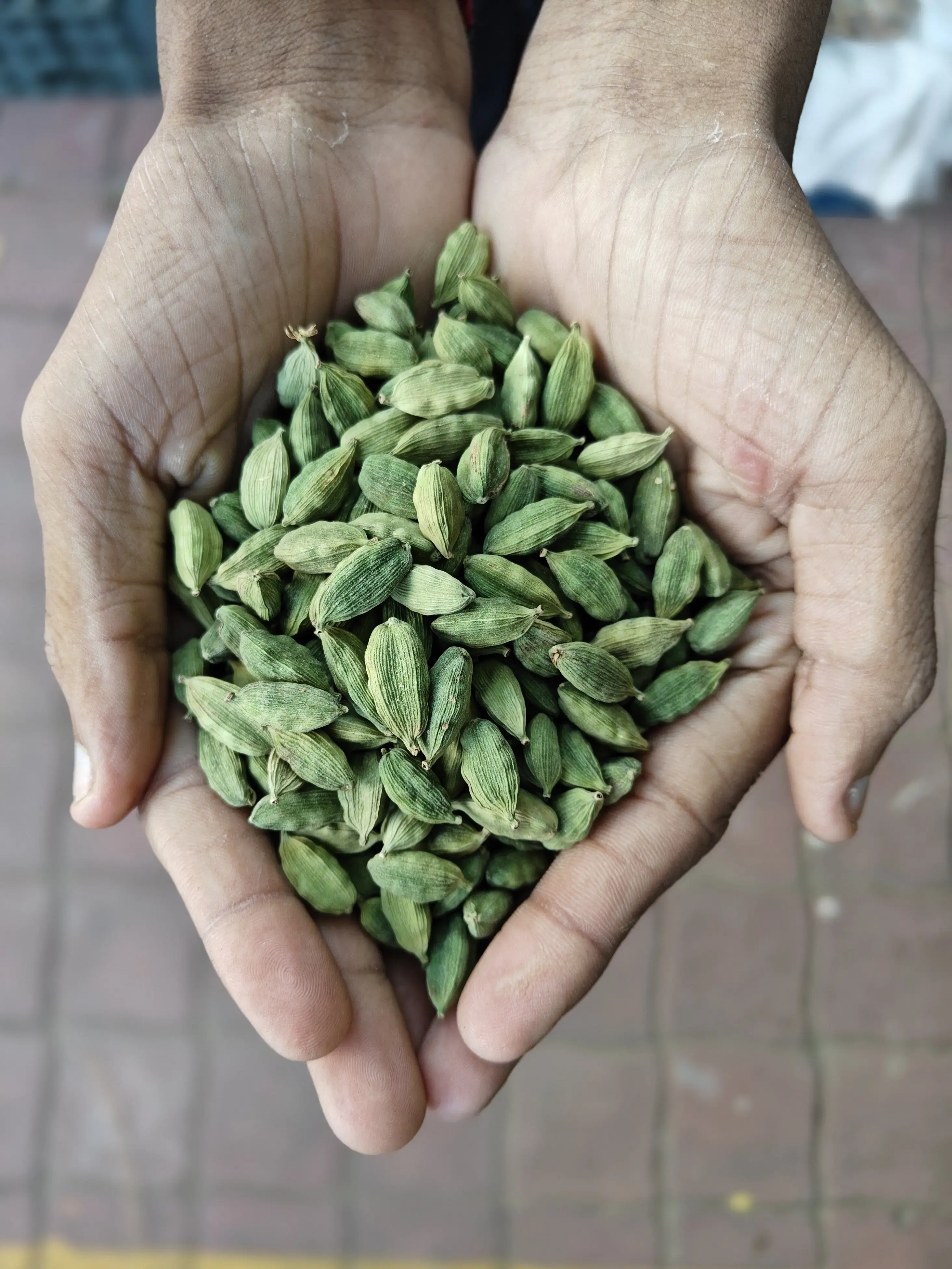 Premium Elaichi Naturally Grown| OrganicBandhu